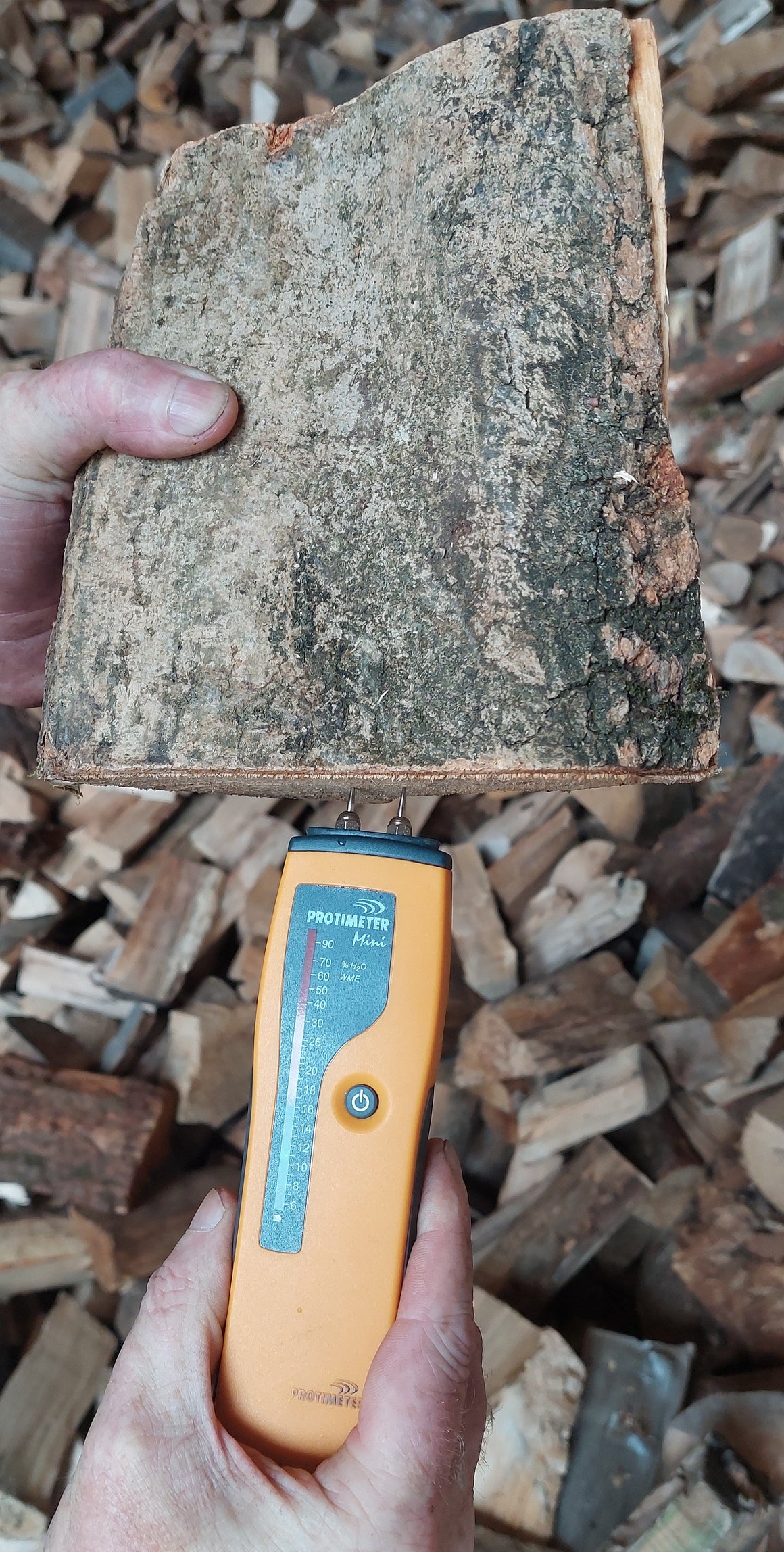 Logs – T. G. Norman